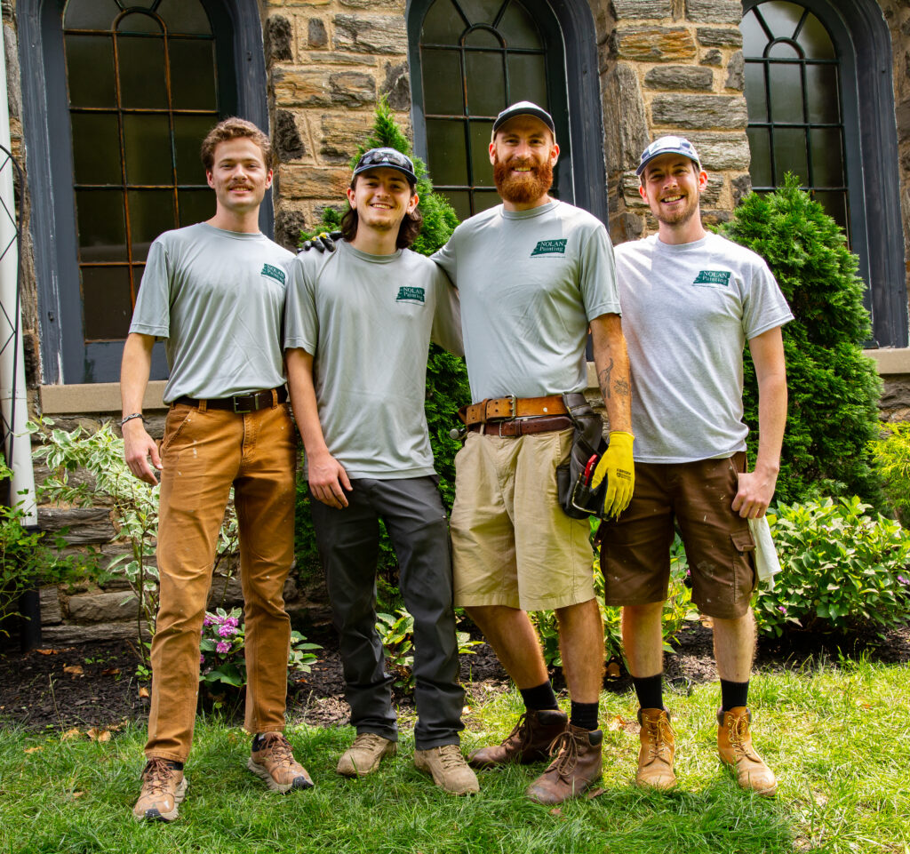 Nolan Painting Reviews- Read Our Latest Customer Reviews 📖