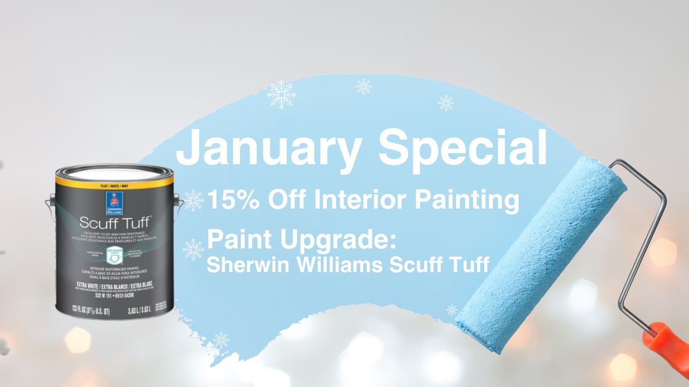 Nolan Painting Special Offers